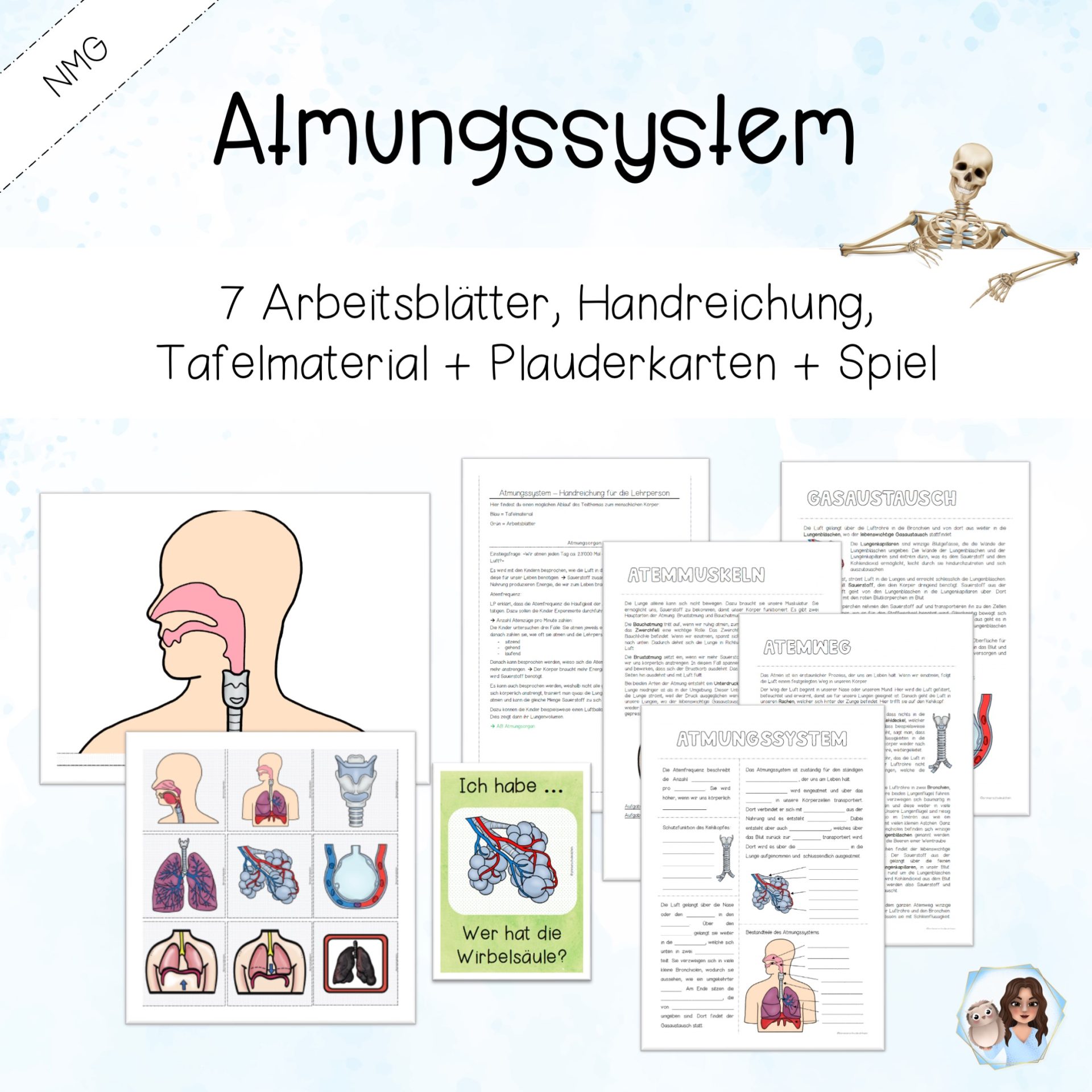 Atmungssystem des menschlichen Körpers - Primarschuleulchen