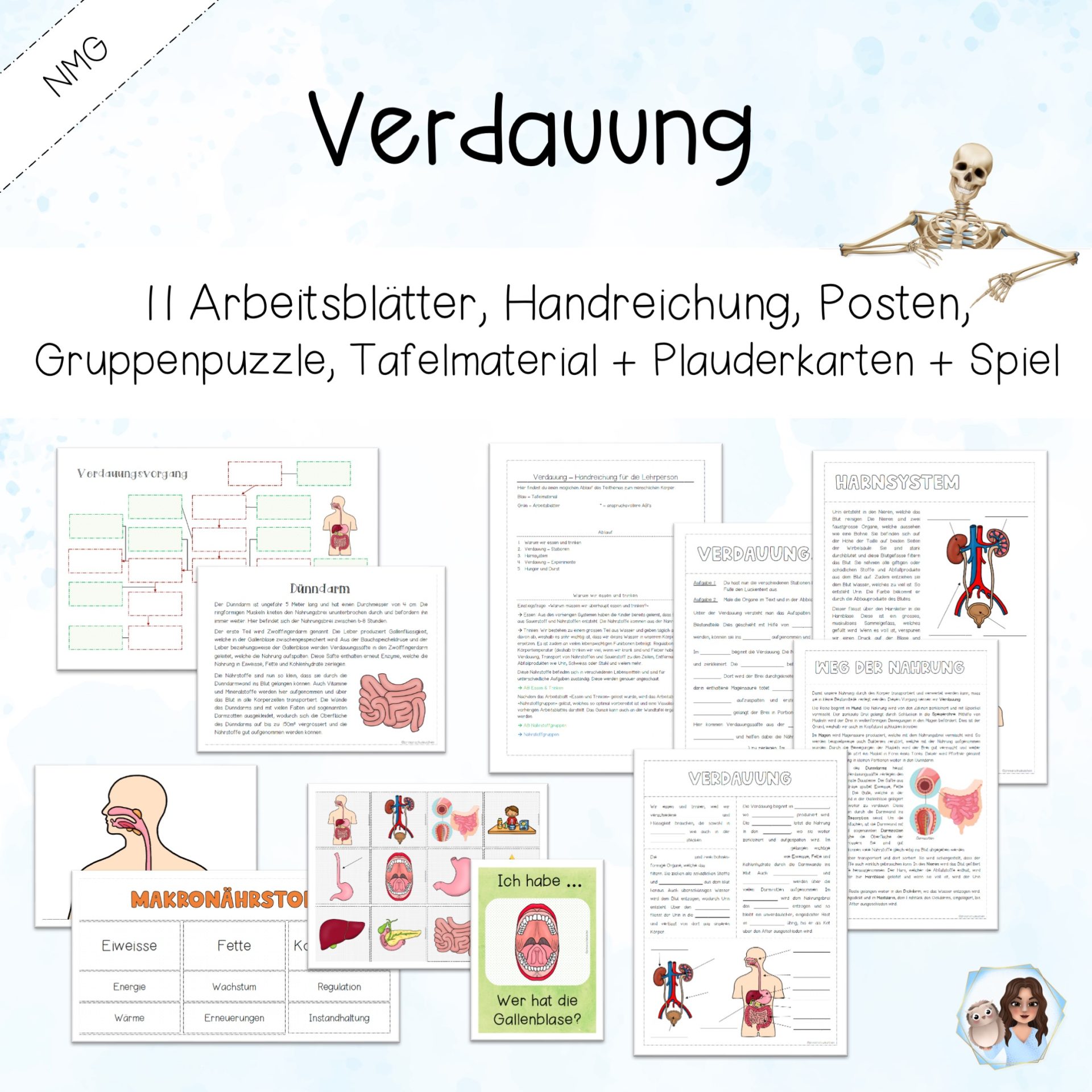 Verdauungssystem des menschlichen Körpers - Primarschuleulchen